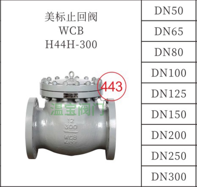American standard check valve WCB H44H-300-Wenbao Valve Co., Ltd